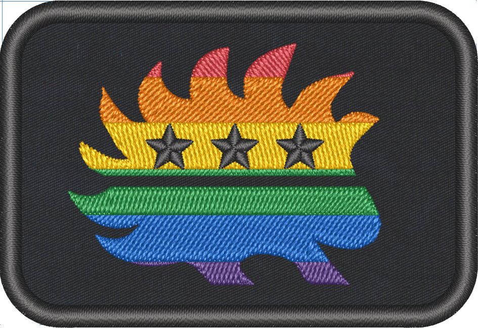 LGBTQ Morale Patch by Proud Libertarian – VYSN