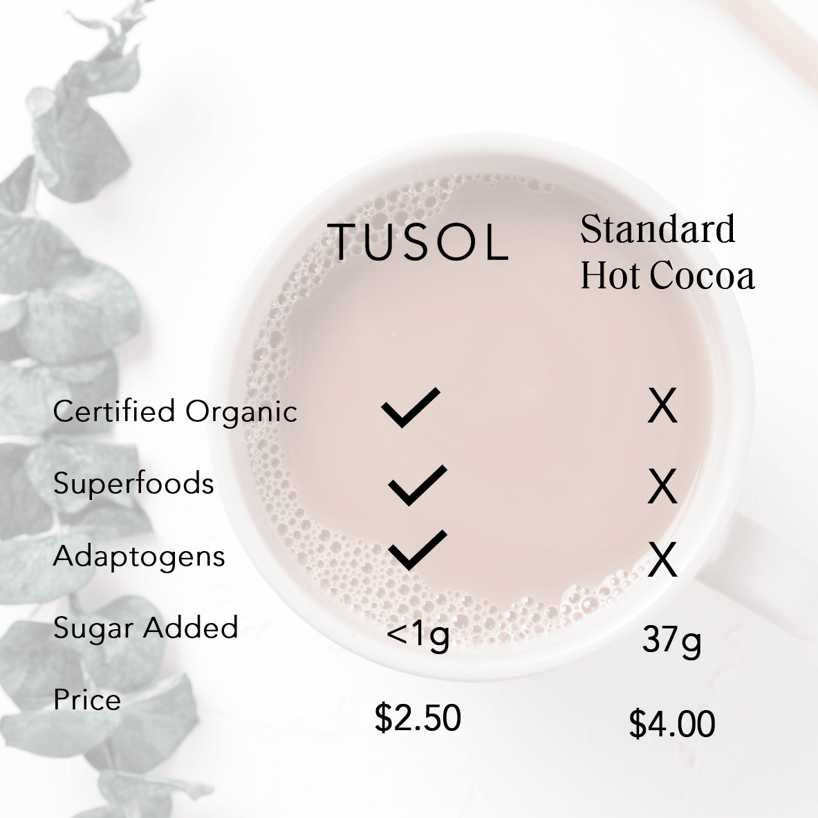 TUSOL Organic Latte Kit by TUSOL Wellness | Vysn